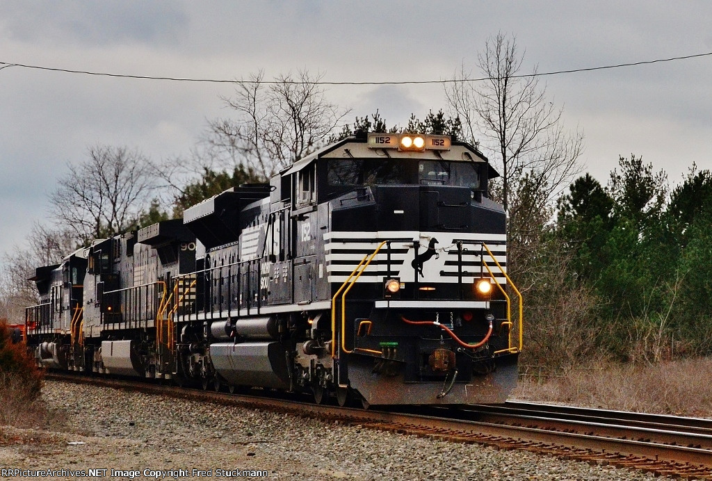 NS 1152 jumped out of the trees.